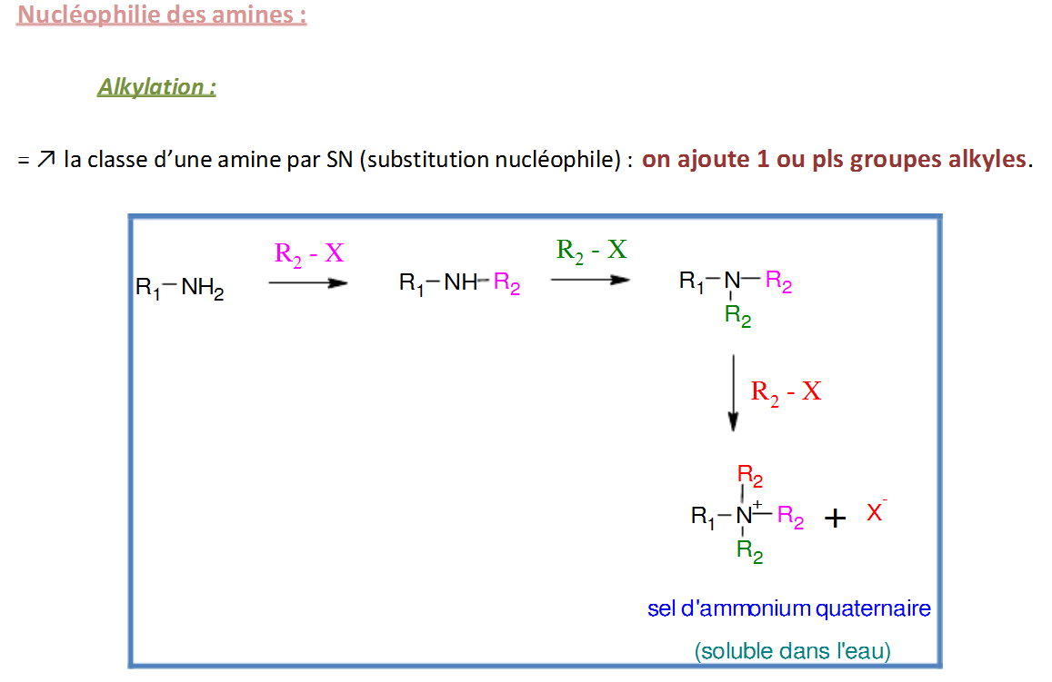 [Résolu] [Chimie Organique] Alkylation d'Amine par Blackline - page 1 - OpenClassrooms