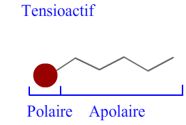 [Résolu] Diminution tension superficielle par Tarzan312 - OpenClassrooms