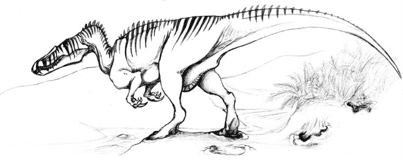 Postosuchus Coloring Page Coloring Pages