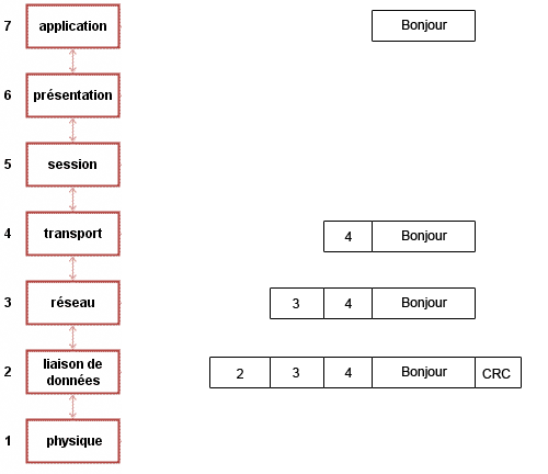 Détaillez l'en-tête IP - Maîtrisez vos applications et réseaux TCP/IP ...